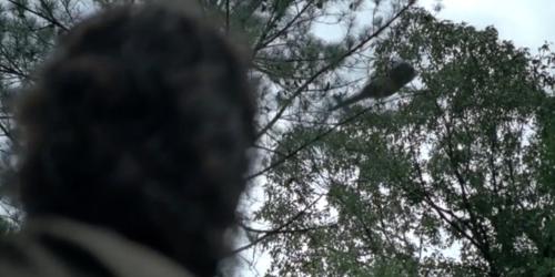 What happened to Negan is no longer unknown in The Big Scary U. – THE ...